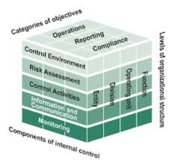 Internal Control Review | MGIDC
